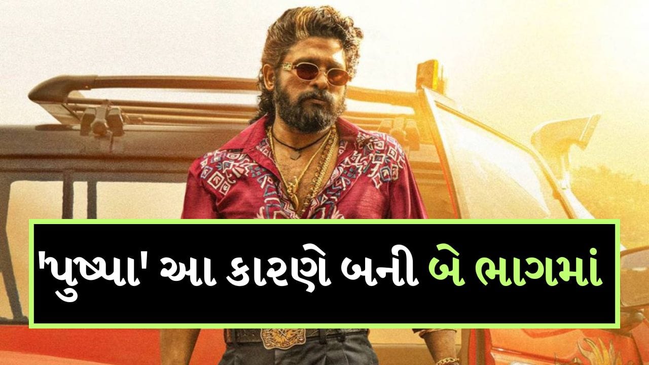 Pushpa 2 : ન તો અલ્લુ અર્જુન, ન સુકુમાર… આ વ્યક્તિનો હતો 'પુષ્પા'ને બે ...