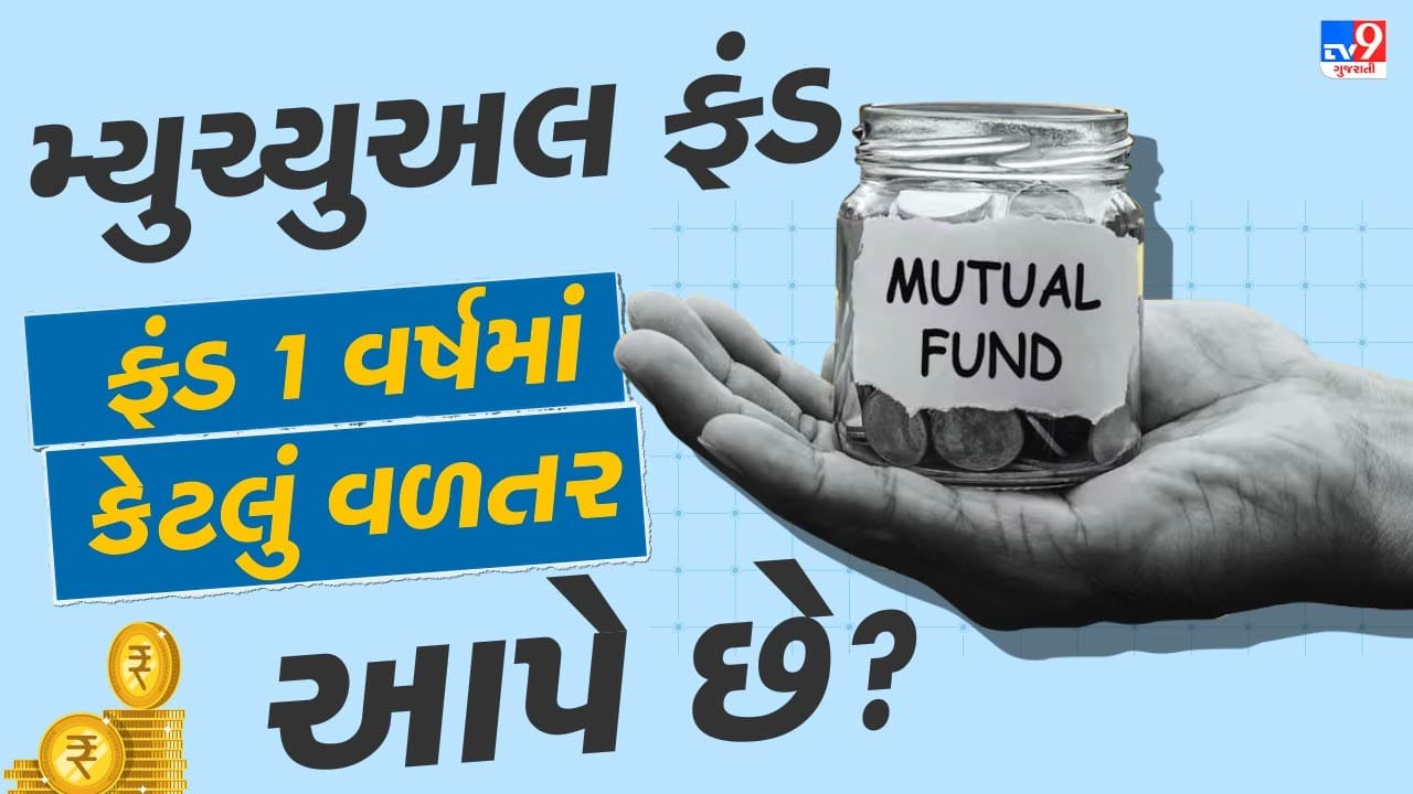 મ્યુચ્યુઅલ ફંડ 1 વર્ષમાં કેટલું વળતર આપે છે ? - Gujarati News | How ...