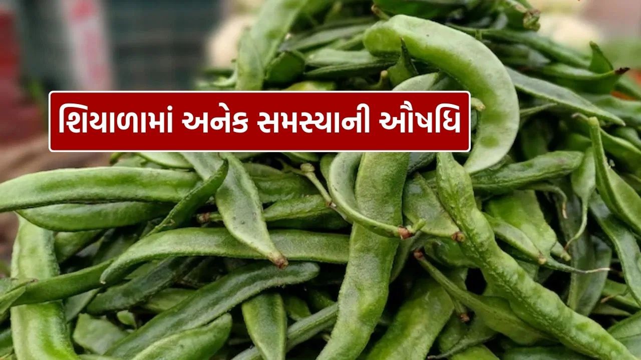 Winter Health Guide : આ શાકભાજી છે દવાની ફેક્ટરી, શિયાળામાં ખાવાથી થાય ...