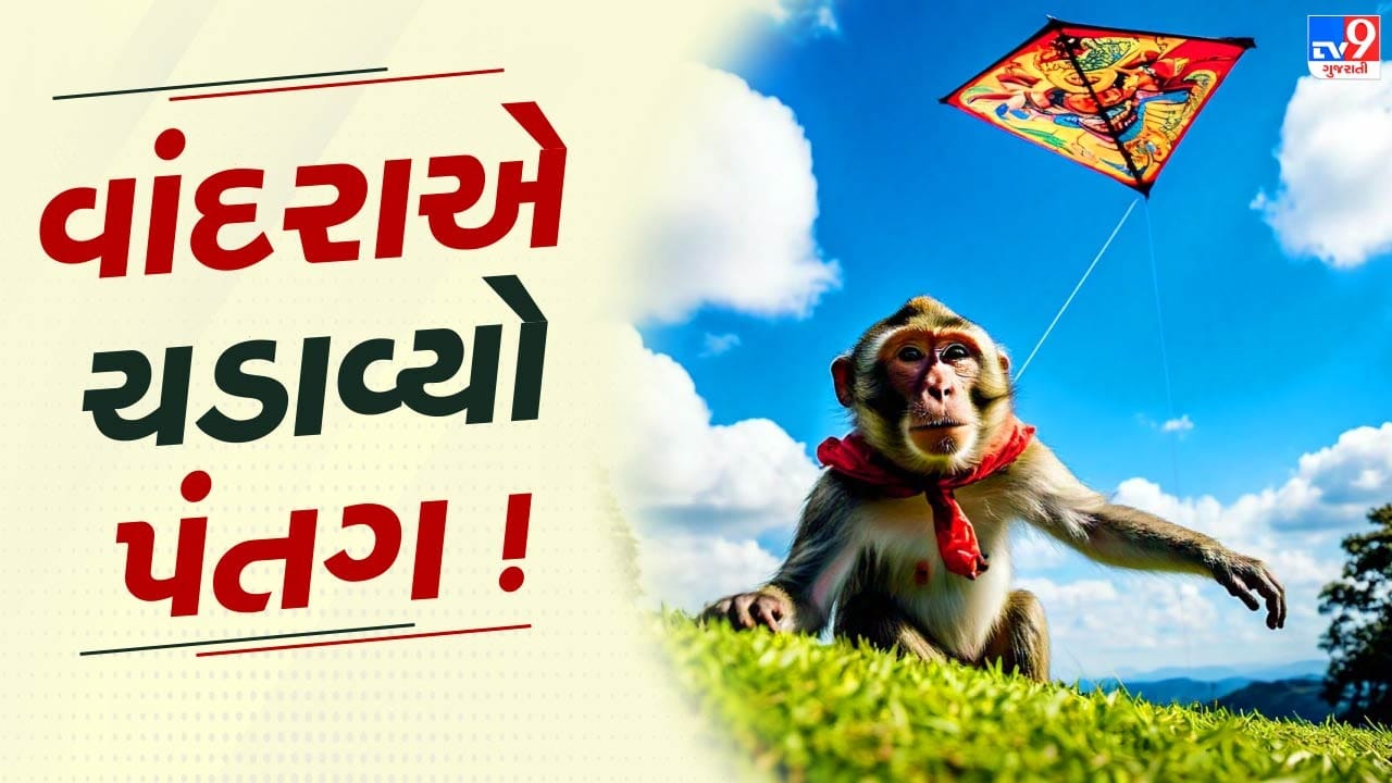 ઉતરાયણ આવતા જ પતંગ ઉડાડતા વાંદરાનો Video થયો વાયરલ, જુઓ - Gujarati News ...