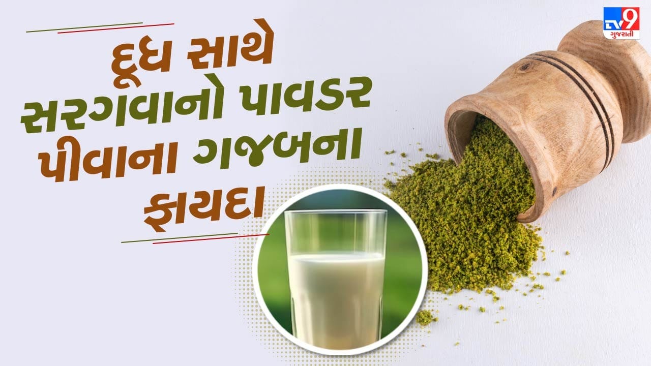 દરરોજ દૂધમાં આ ઝાડના પાંદડાનો પાઉડર એક ચમચી ભેળવીને પીઓ, સાંધાના દુખાવો ...