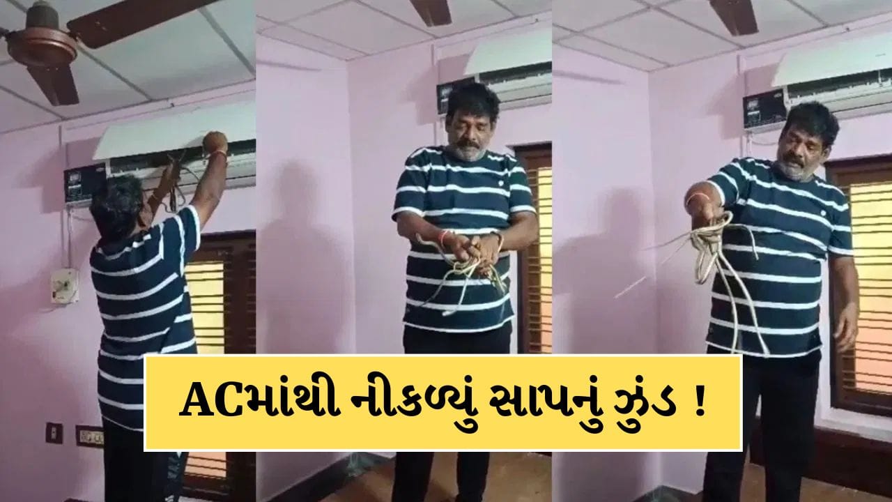 ACમાંથી આવી રહ્યો હતો અવાજ, જોયું તો નિકળ્યું સાપનું ઝુંડ, જુઓ-Viral Video - Gujarati News | A ...