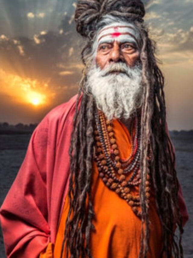 સાધુઓ નામ આગળ શા માટે લખવામાં આવે છે શ્રી શ્રી, 108 અને 1008 ? – Tv9 ...