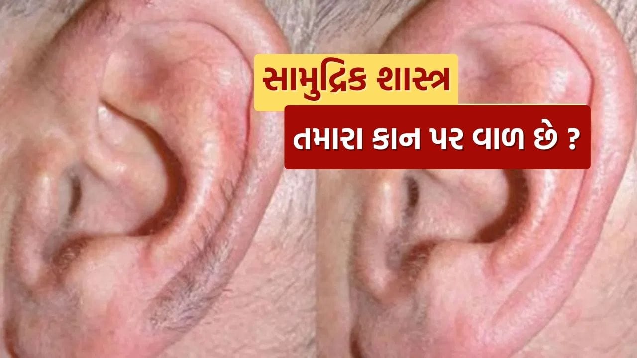 Samudrik Shastra : કાન પર વાળ આવવા સેનો સંકેત છે? તમે નહીં જાણતા હોવ આ ...