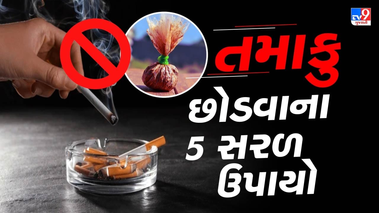 World No Tobacco Day 2025: તમાકુ જીવલેણ છે, આ વ્યસનથી સરળ રીતે છુટકારો ...