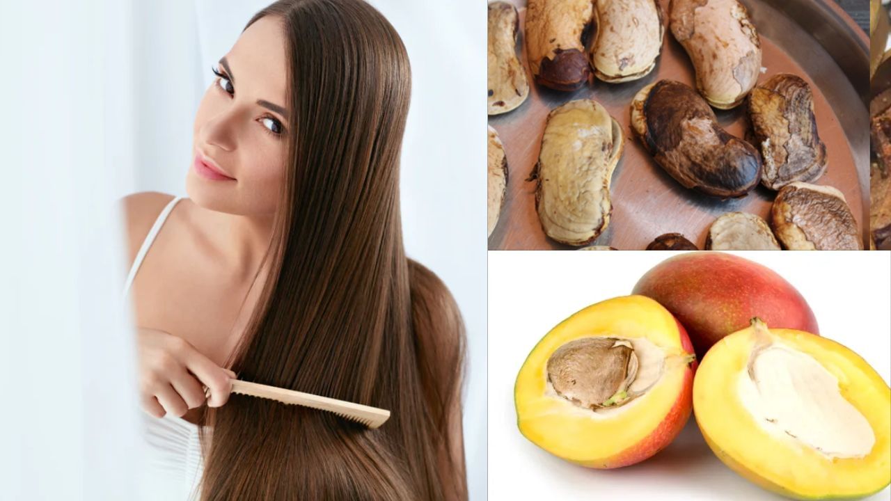 Mango Seeds: કેરી ખાઈ ગોટલી ફેંકી ના દેતા ! વાળ વધારવા અને મજબૂત ...