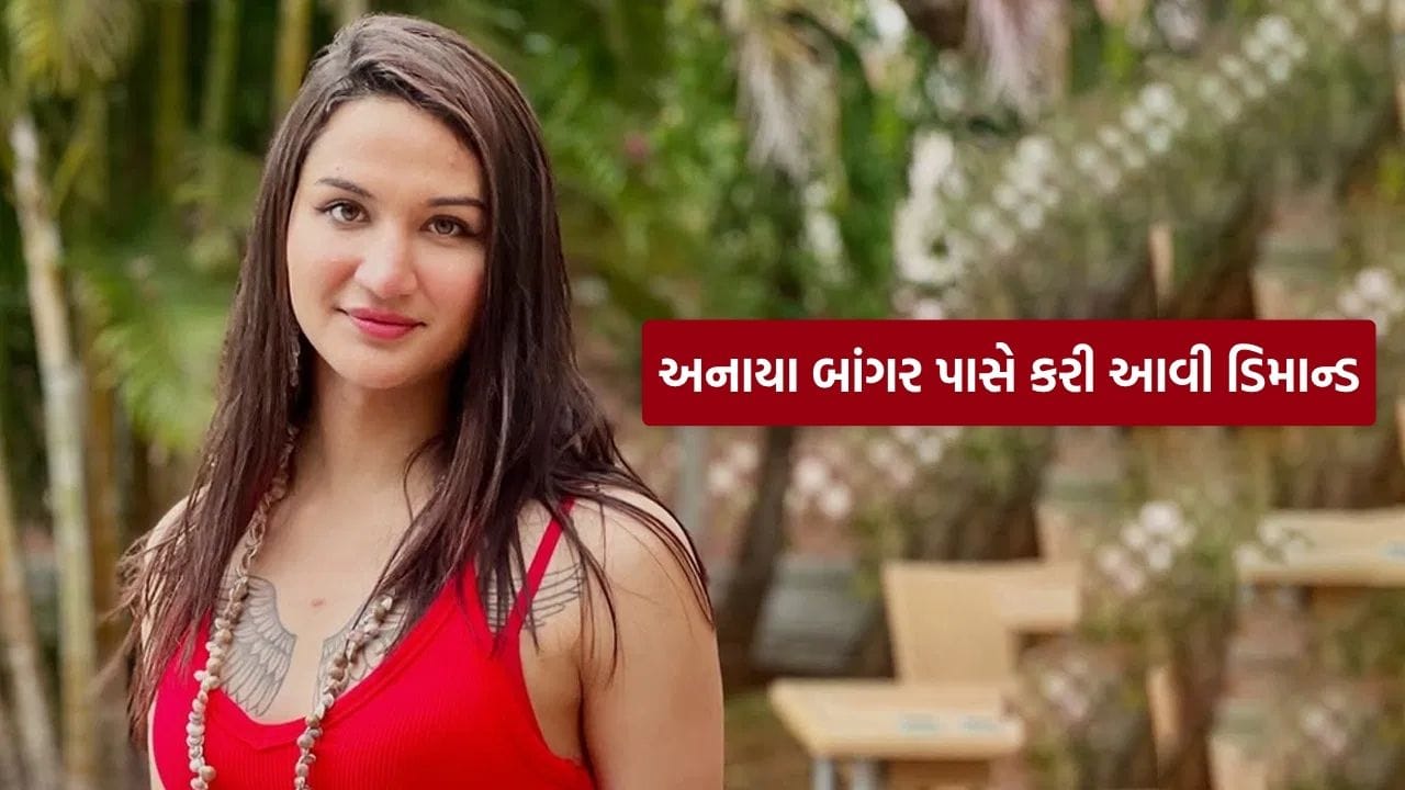 એક સાડીમાં... છોકરામાંથી છોકરી બનેલી અનાયા બાંગર પાસે જાહેરમાં થઈ આ ડિમાન્ડ - Gujarati News ...