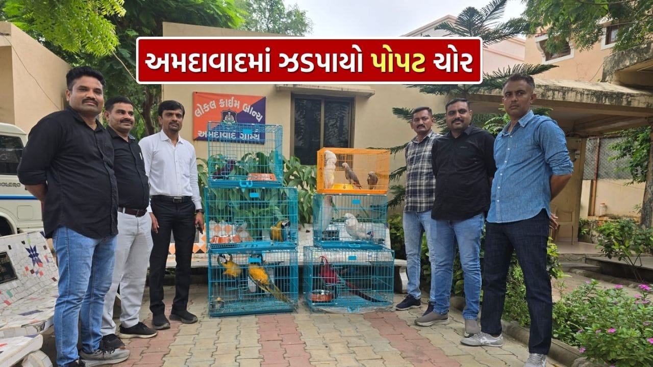 Parrot theft arrest : લગ્ન કરવા બન્યો પોપટ ચોર, અમદાવાદમાં 11 જેટલા ...