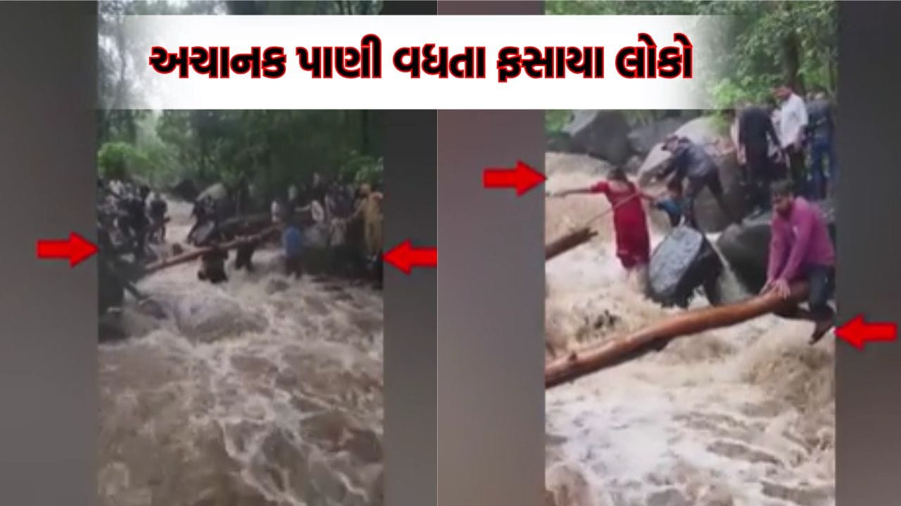 ગિરનારની ગોદમાં આવેલા જટાશંકર મંદિરે અચાનક પાણીનો પ્રવાહ વધતા અનેક લોકો ...