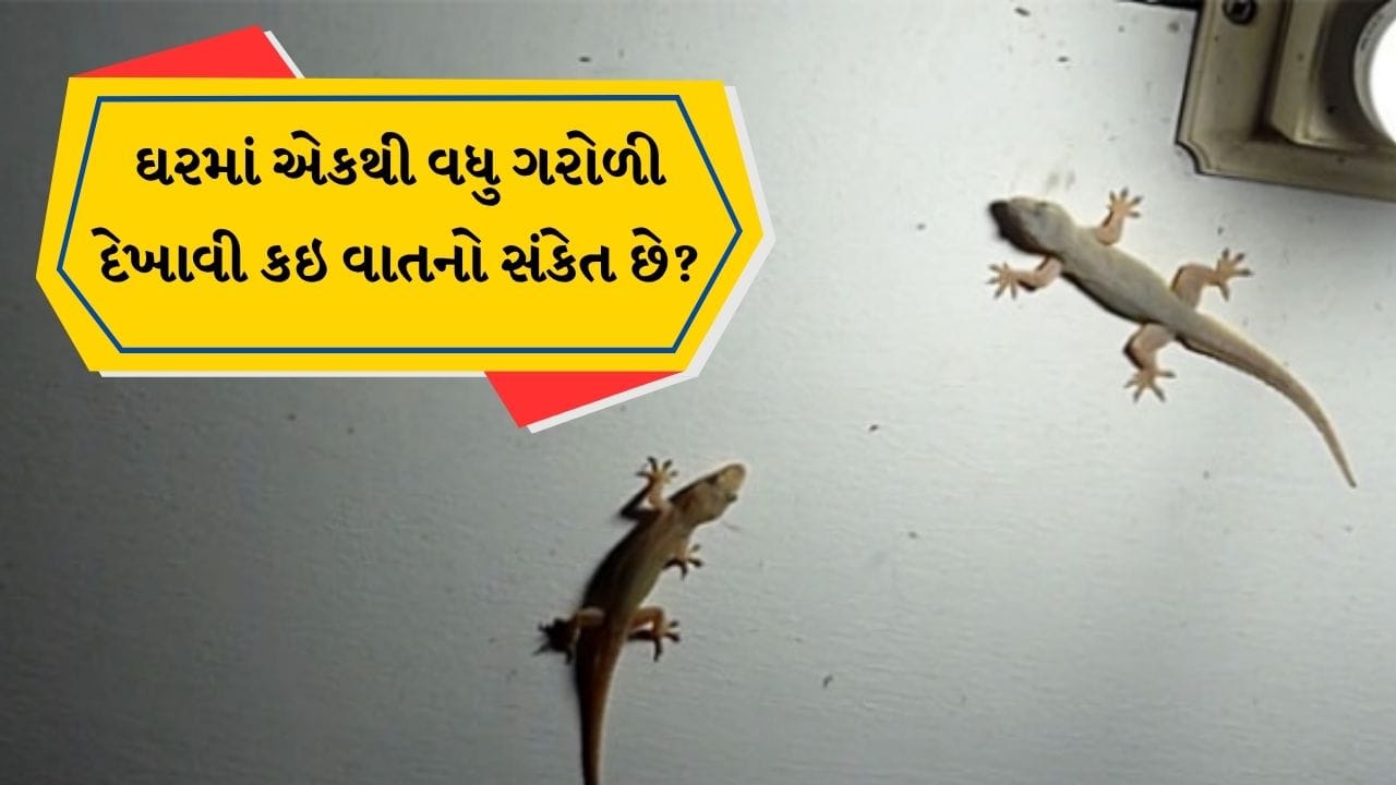 Vastu Tips : ઘરમાં અચાનક બહુ બધી ગરોળી દેખાવી અને તેનો અવાજ સંભળાવવો ...