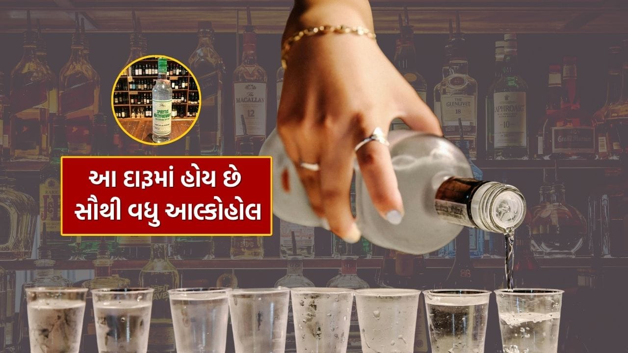 Strongest Liquor : કયા દારૂમાં હોય છે સૌથી વધુ આલ્કોહોલ ? એક પેગમાં ફરી ...