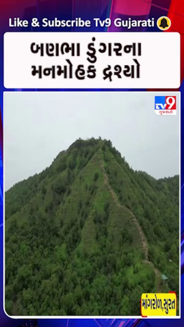 Nature blooms Magical on Banbha Hills in Mangrol Surat | પ્રકૃતિ સોળે ...