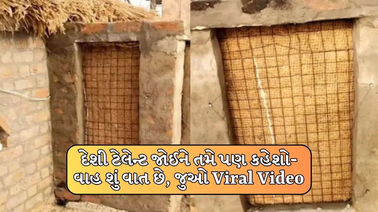 દેશી ટેલેન્ટ! માણસ માટે નહીં પણ ગાય-ભેંસ માટે બનાવ્યું કુલર, Viral ...