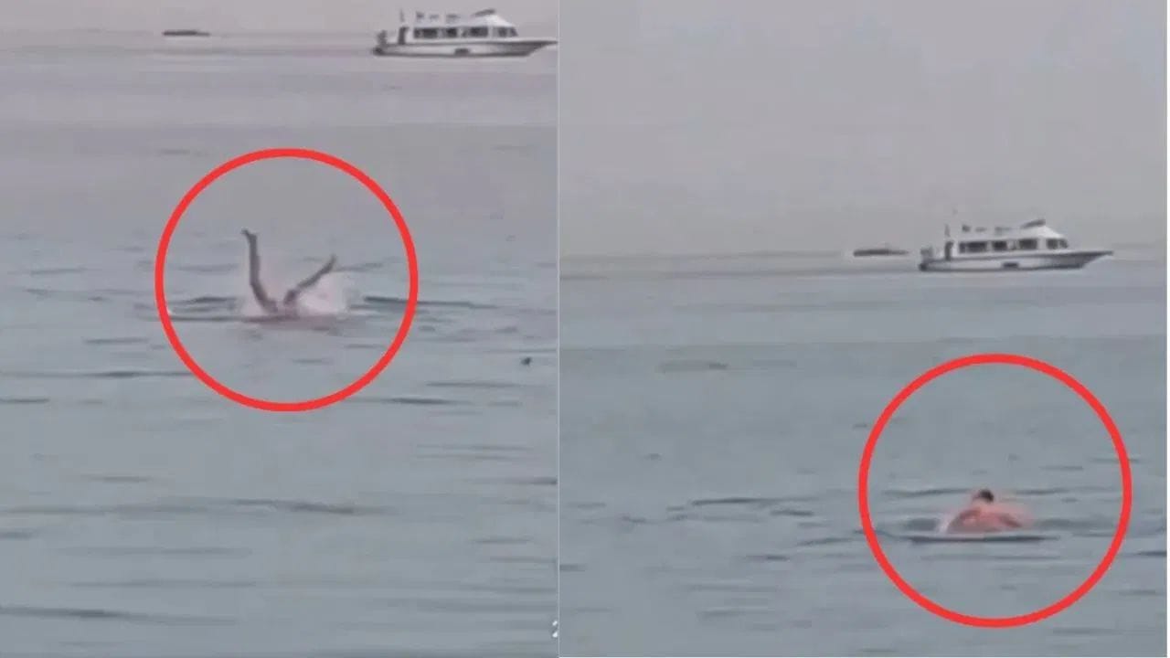 Viral Video: રૂંવાડા ઊભા કરી દે એવો વીડિયો: શાર્ક માછલી પાણીમાં પડેલા ...