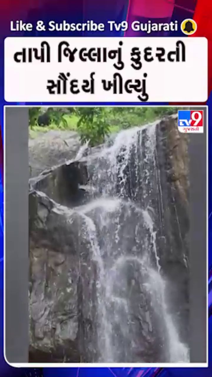 The natural beauty of Tapi district blossomed with sixteen arts ...