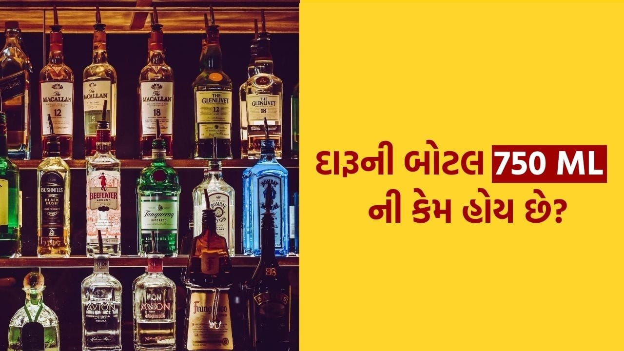 Wine Bottle Size : વાઇનની બોટલ 750 ML ની કેમ હોય છે? જાણી લો - Gujarati ...