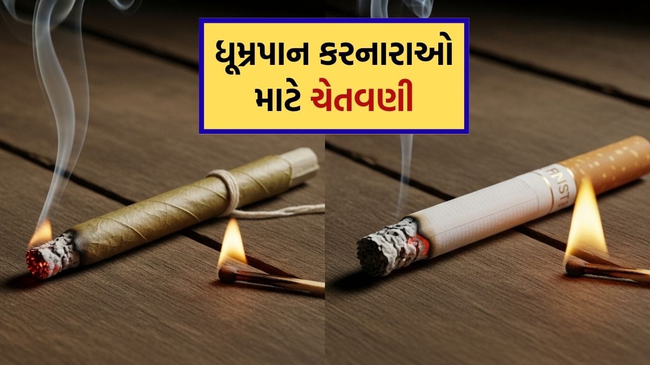 Bidi vs Cigarette : કયું વધુ જોખમી છે ? જાણો બંને વચ્ચેનો તફાવત અને ...