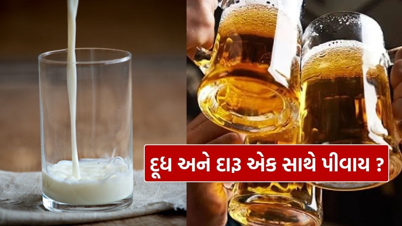 Alcohol and Milk : દારૂ અને દૂધ એકસાથે પીવાથી શું થાય ? સાચી હકીકત તમે ...
