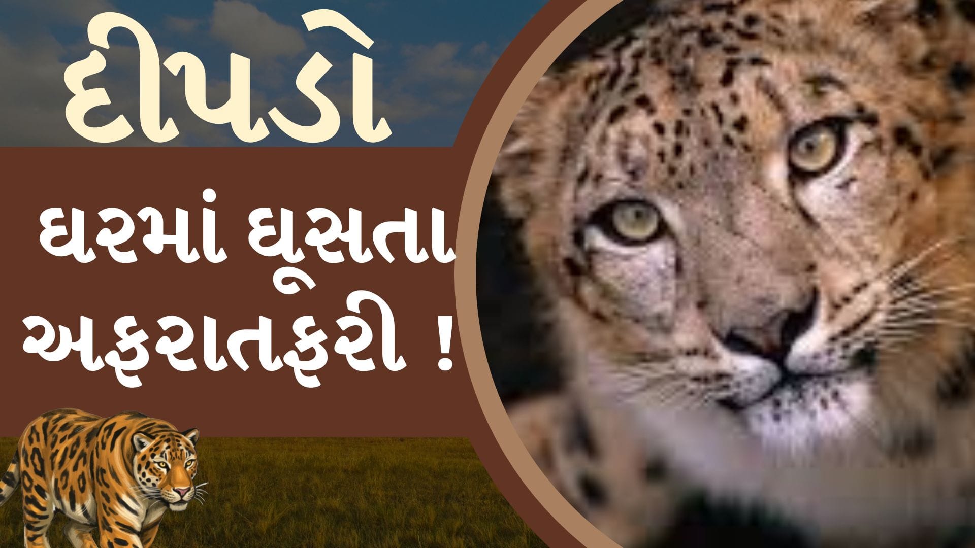 Breaking News : અમરેલીના નાનીધારી ગામમાં દીપડો ઘરમાં ઘૂસતા અફરાતફરી ...