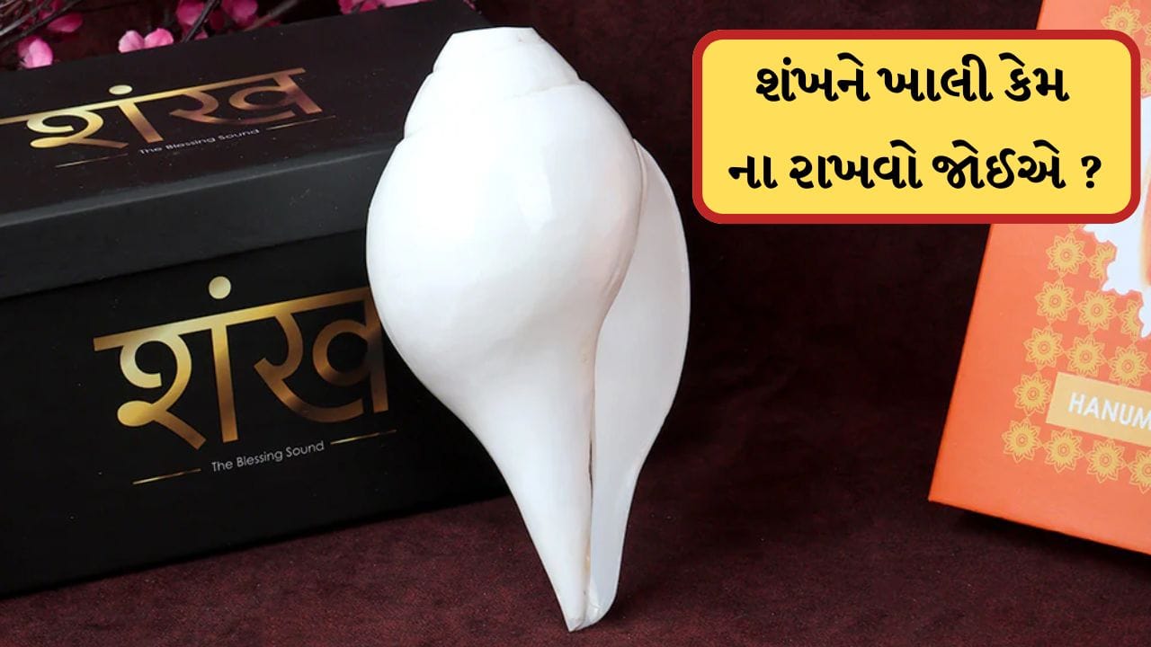 Conch Shell Vastu: મંદિરમાં શંખ ખાલી કેમ ના રાખવો જોઈએ? જાણો વાસ્તુ શું ...