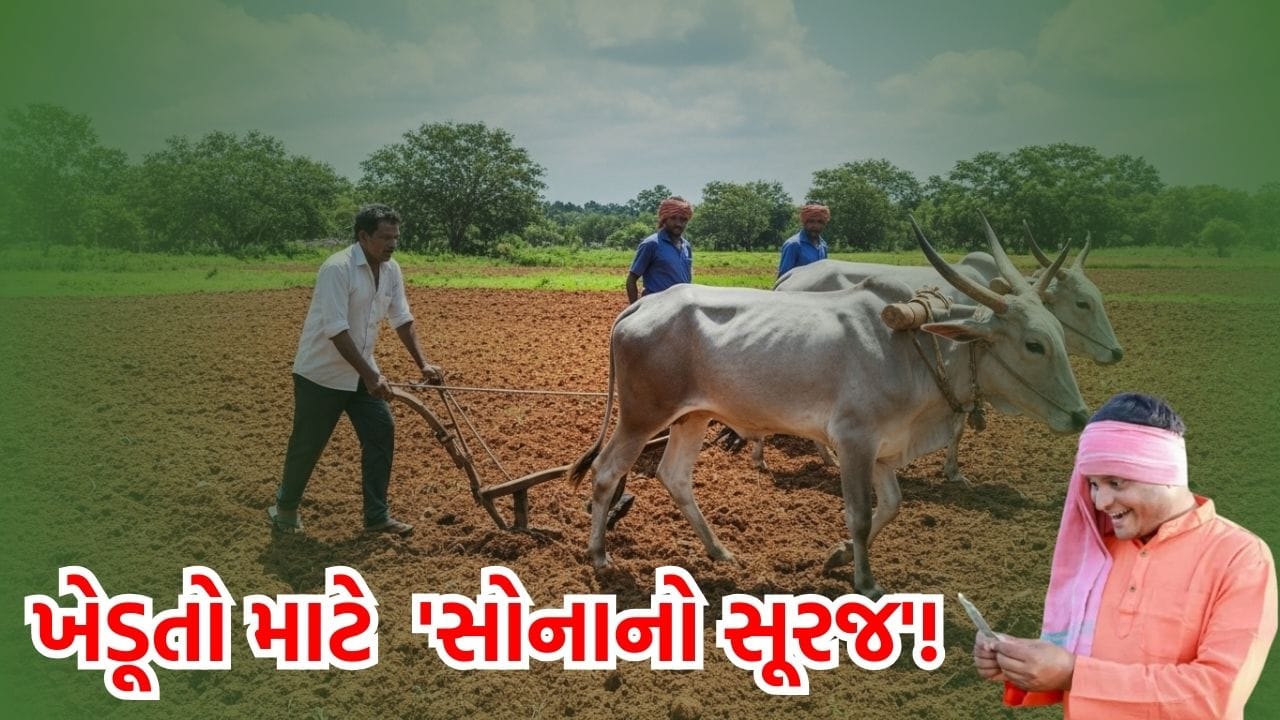 Breaking News: સરકારે ખેડૂતોના ખિસ્સા ભરવાનો કર્યો 'પ્લાન ...
