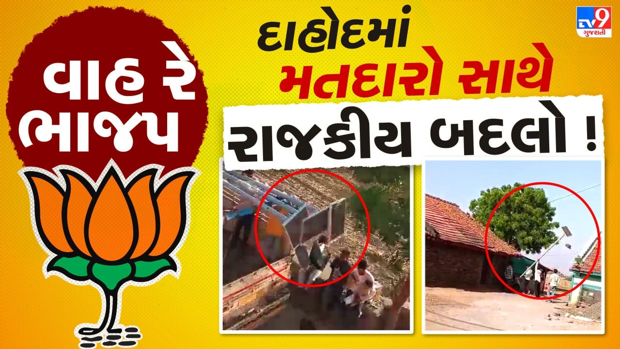 દાહોદમાં ભાજપના વિકાસે વાળ્યું રાજકીય વેર ! ઉમેદવાર હારતા સરકારી ...