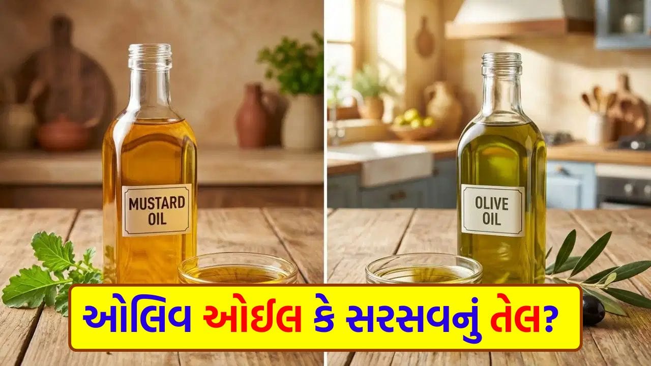 હાર્ટ હેલ્થ માટે ઓલિવ ઓઈલ કે સરસવનું તેલ? જાણો કયું છે 'સૌથી બેસ્ટ ...